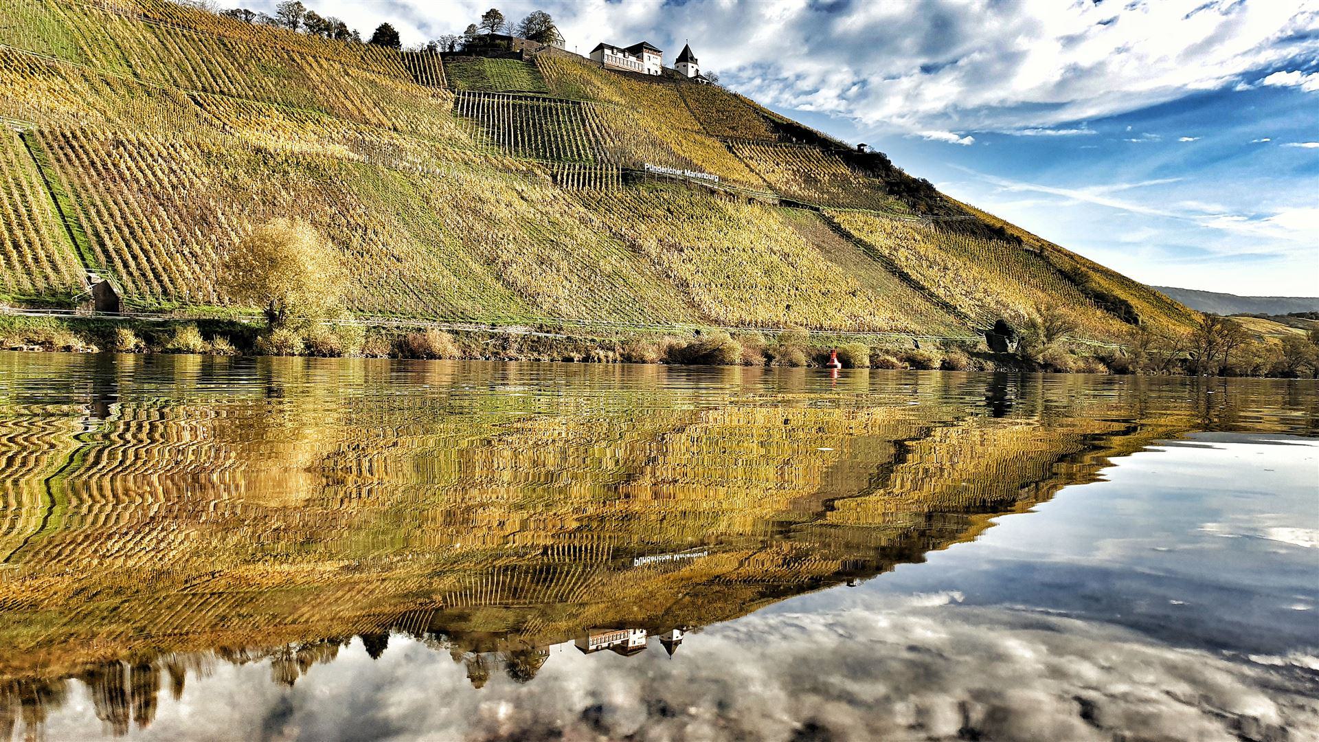 Ökoweingut Markus Busch - Blog23 wein, riesling und ferienwohnungen ...
